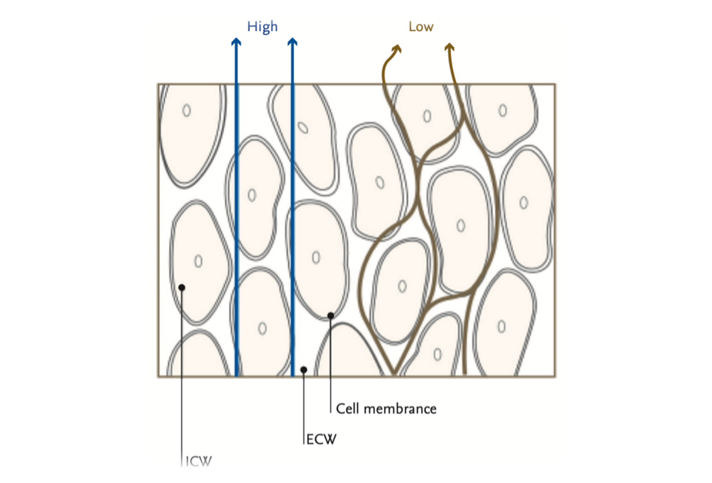 Research | Biomedical Electrical Innovation & Integration Lab
